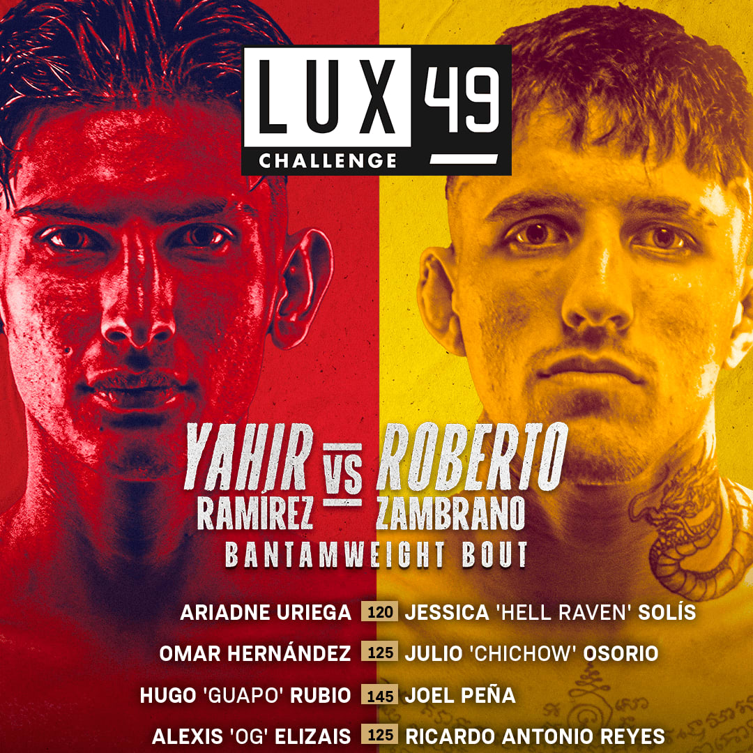 Haris Hussaini: Streams, Merchandise, Personal Videos | MILLIONS